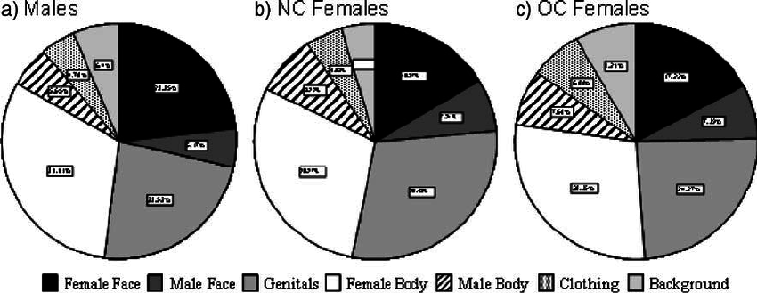 The afterglow Standards: How We Curate the Best Intimate Films for ...